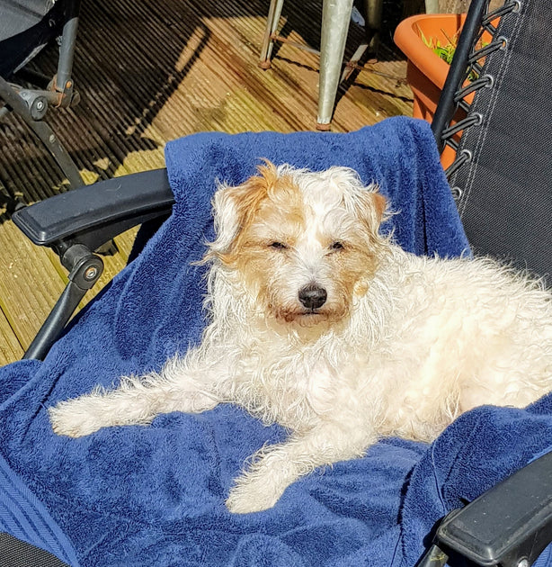 Drying off after my daily exercise :) – Coastal Silver