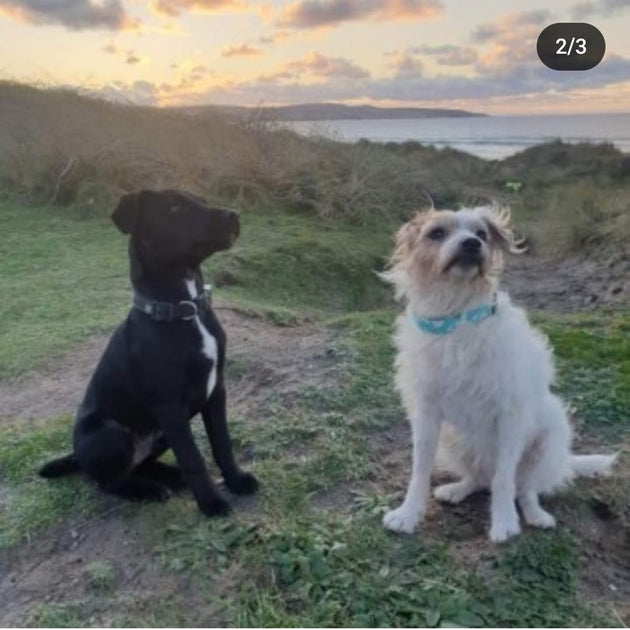 Our Double Trouble :) – Coastal Silver